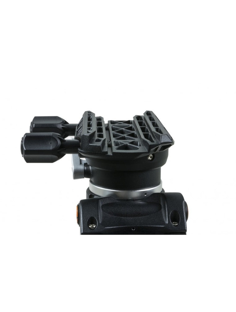 Celestron CGEM II Computerized Equatorial Mount, 40 lb. Payload Capaci ...